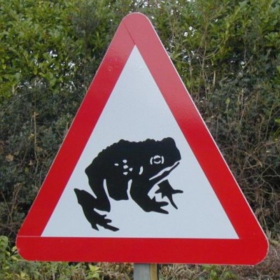 Handling Authentication